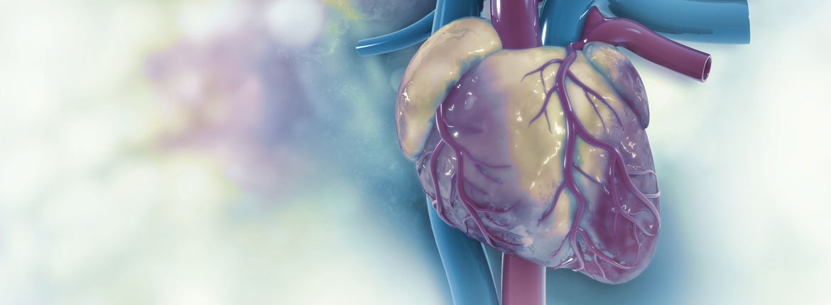 A CPE Exclusive: Attruby™ for Transthyretin Amyloid Cardiomyopathy ...